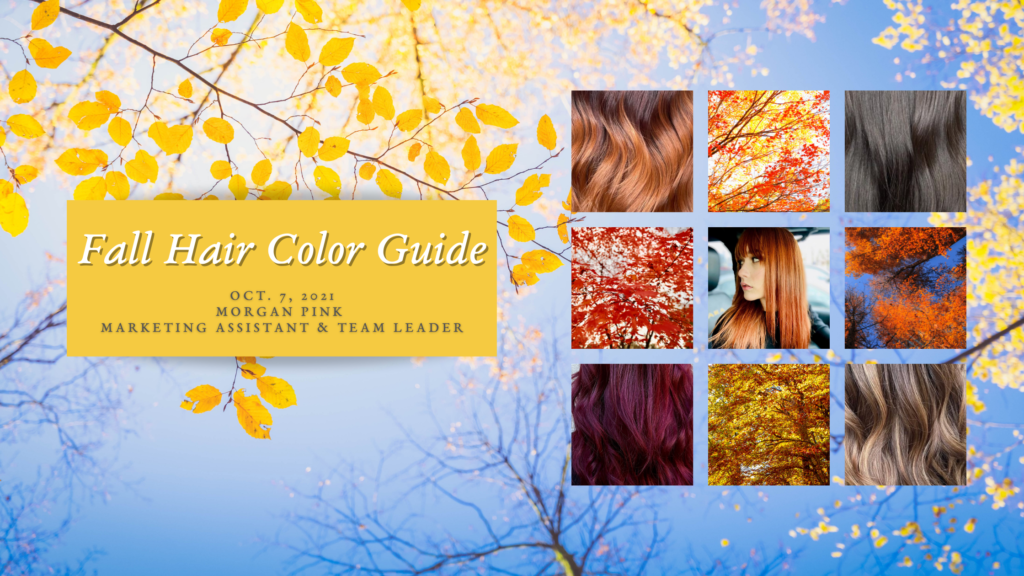 Fall Hair Color Guide | Modern Salon | Charlotte & Huntersville, NC